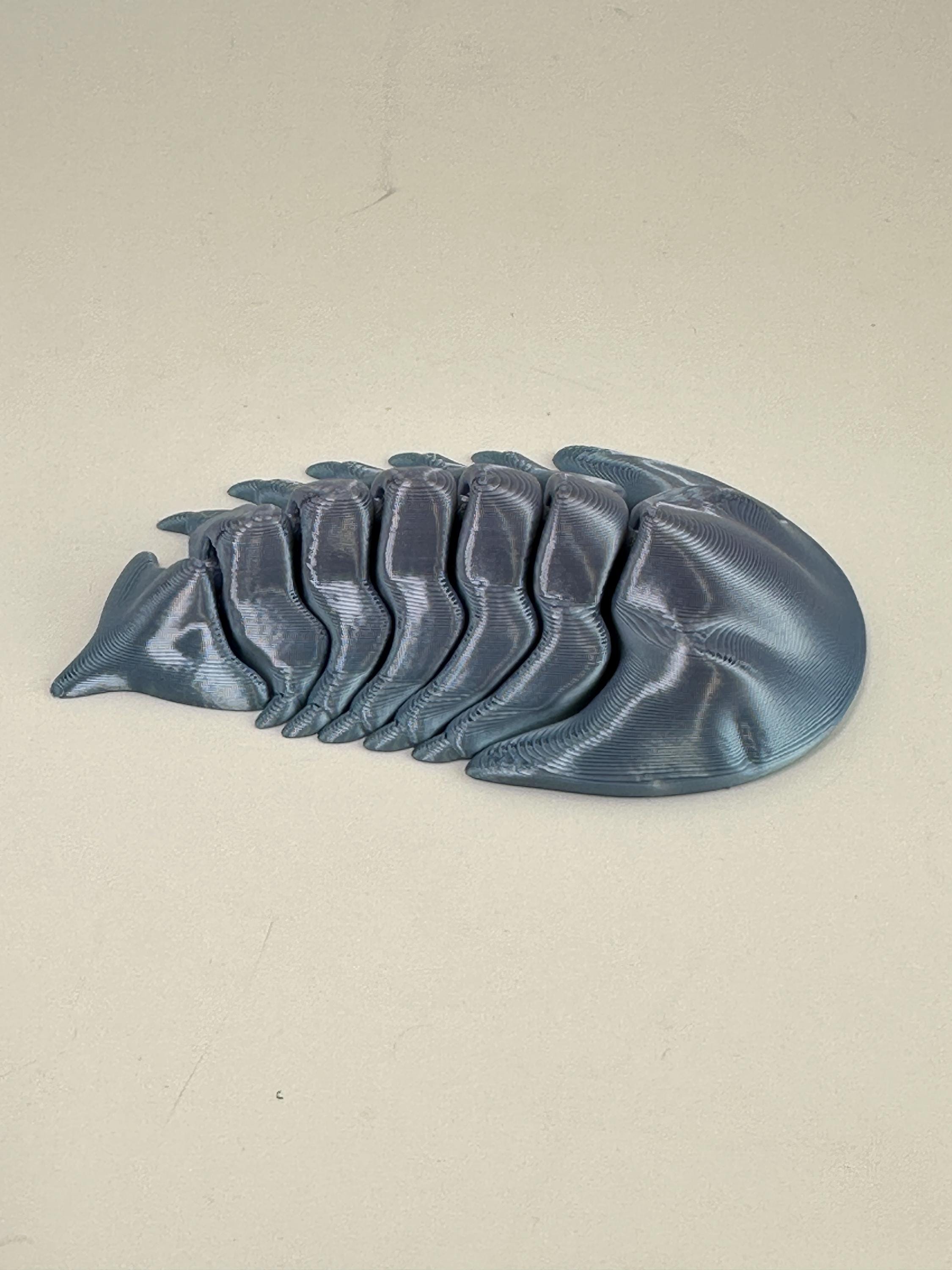3D Printed Articulated Trilobite Poseable Fossil Figurine Realistic ...