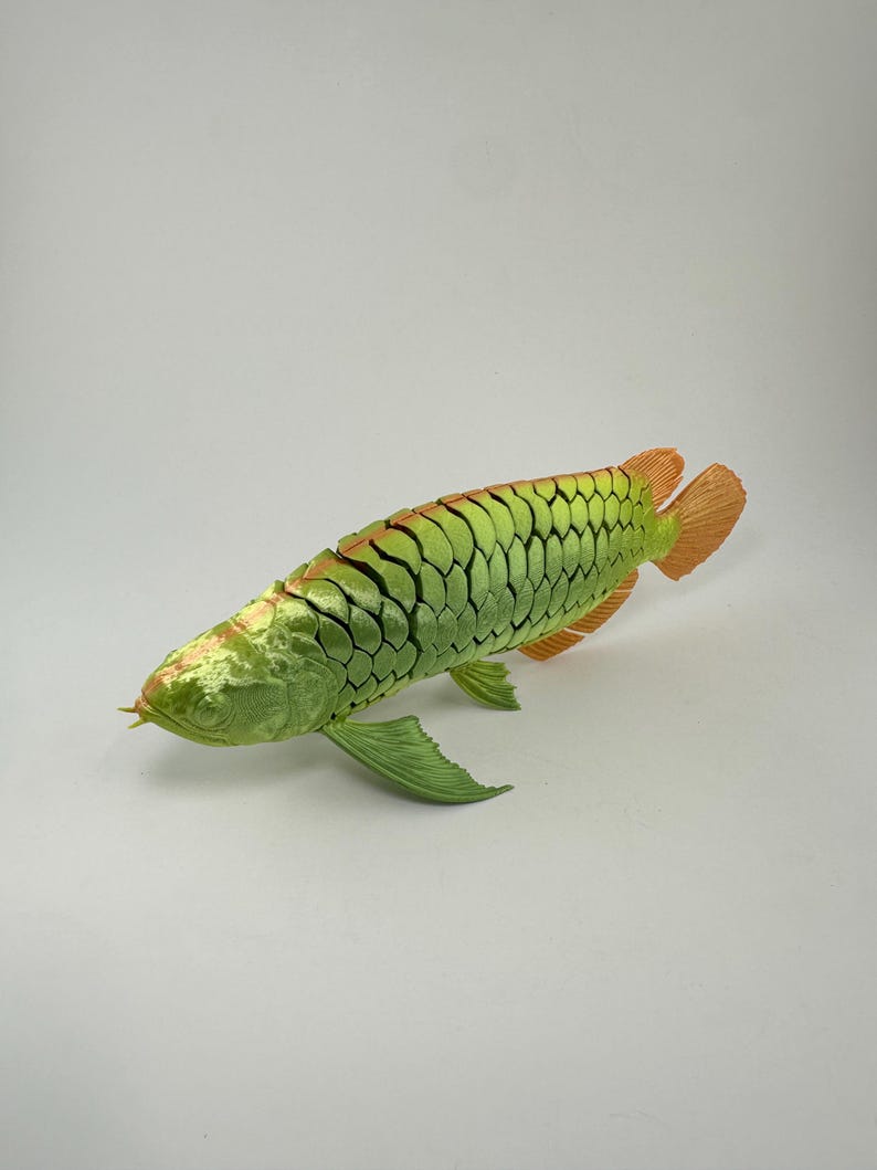 3D Printed Fish - Etsy