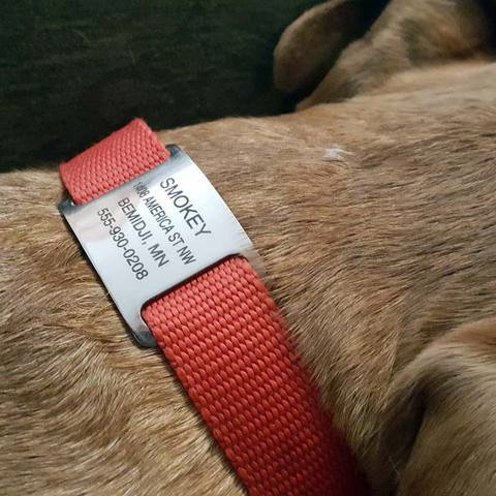 Slide On Dog Tag Personalized ID Custom Name Engraved Etsy slide-on-dog-tag-personalized-id-custom-name-engraved-etsy