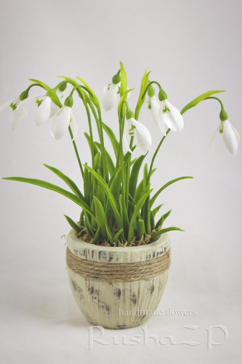Snowdrop. Bouquet of Snowdrops. Spring Flowers. Real Touch - Etsy