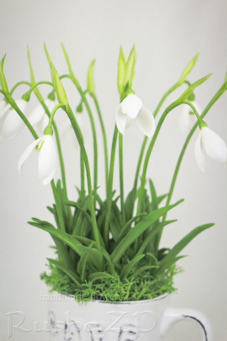 Snowdrop. Bouquet of snowdrops. Spring flowers. Real touch | Etsy