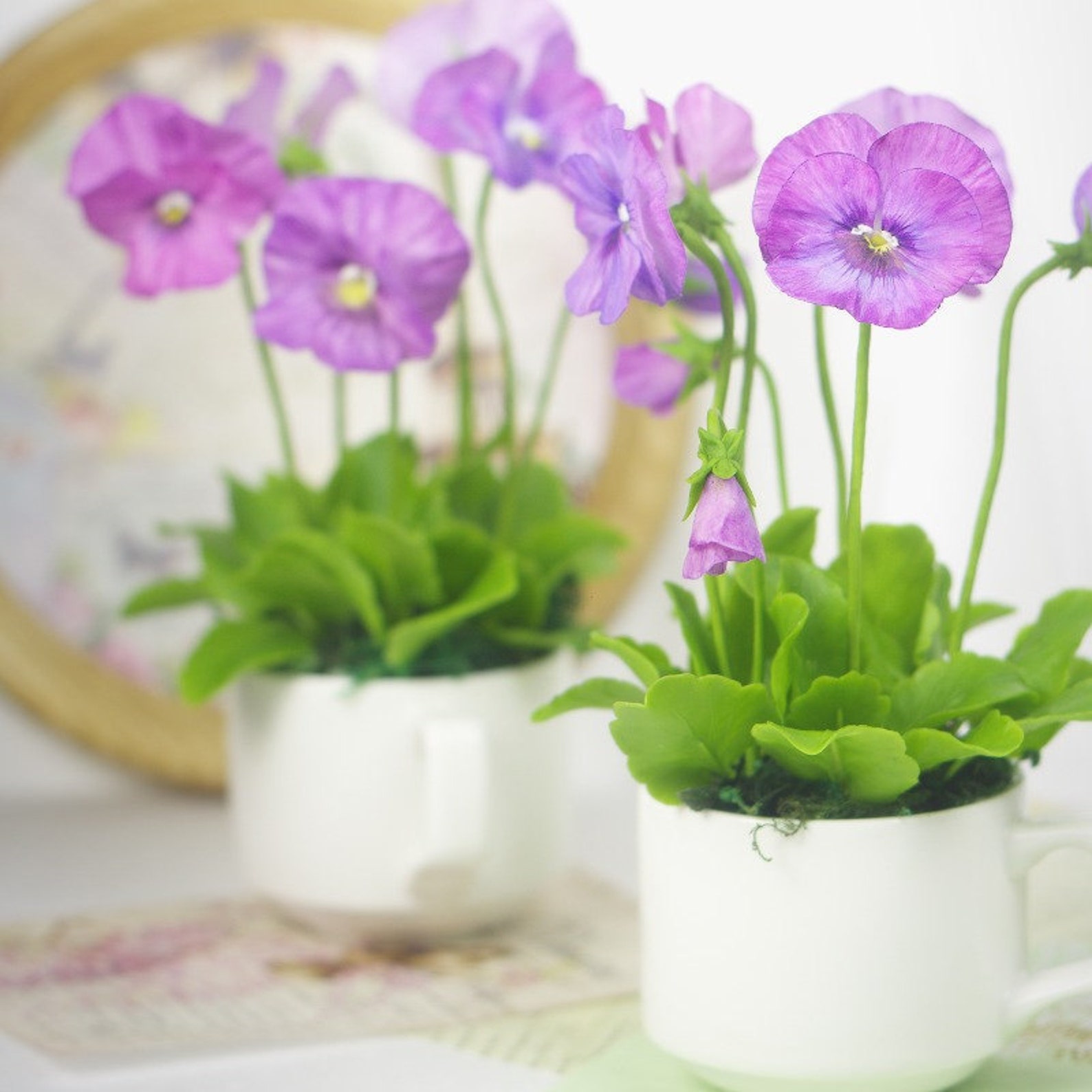Pansy Flowers. Pansies in a Pot. Viola. Composition of | Etsy
