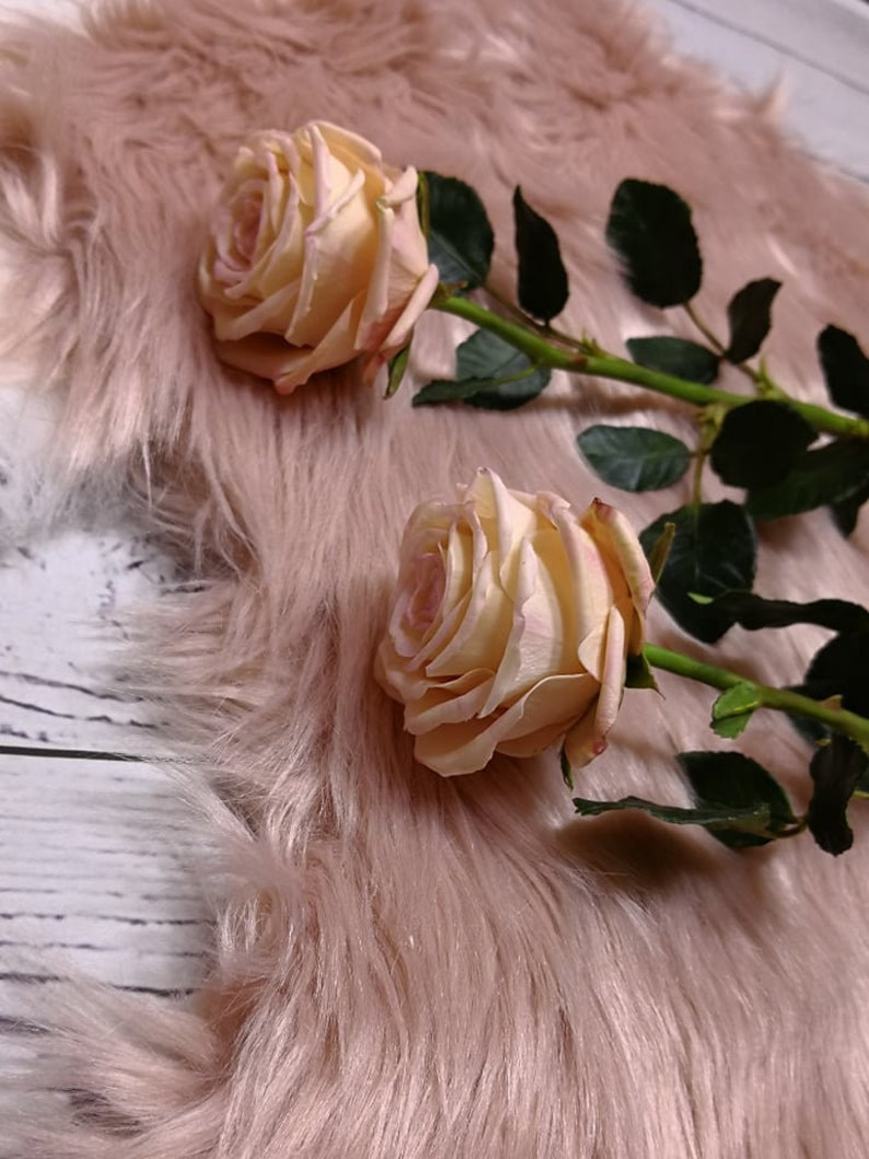 Cold Porcelain Roses. Bouquet of Roses. Rose Bush. Home Decor. - Etsy