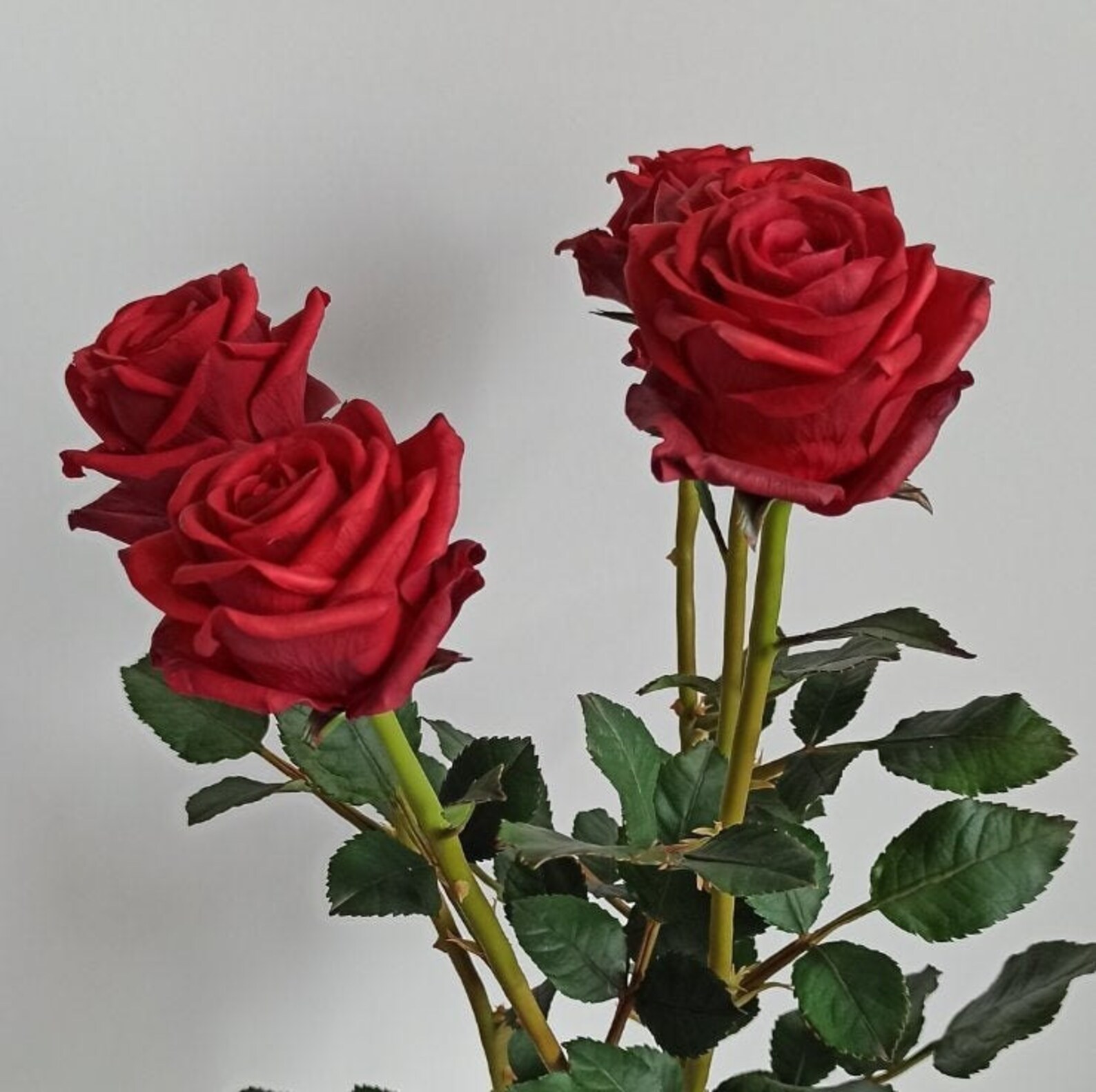 Roses. Red Polymer Clay Roses for Home Decor. Red Bouquet of Roses for ...