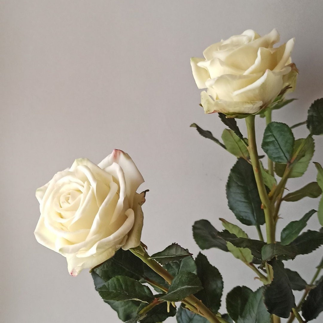 Cold Porcelain Handmade Roses. Bouquet of Roses. Roses for Interior ...