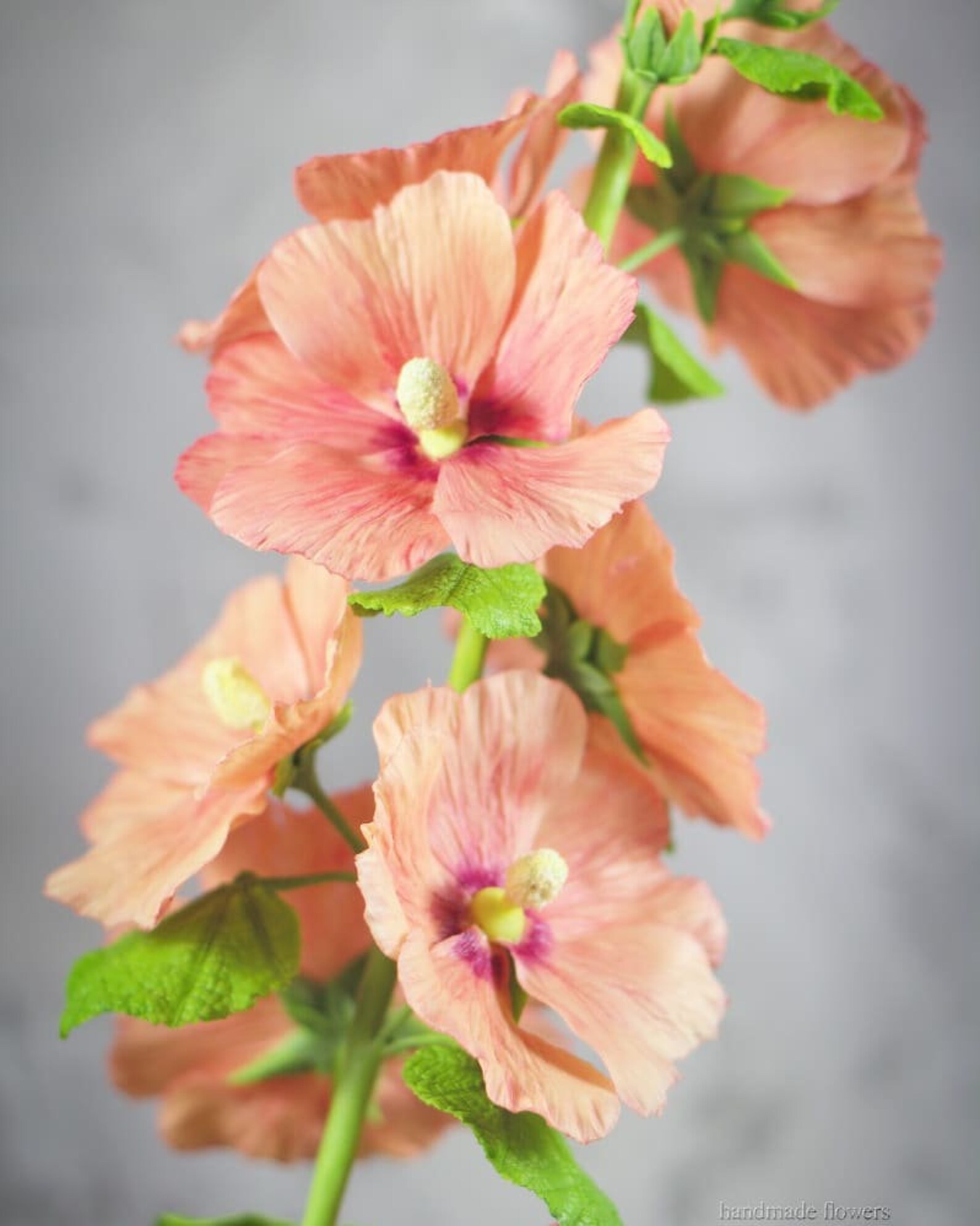 Mallow. Mallow From Polymer Clay. Mallow Flowers. Clay | Etsy