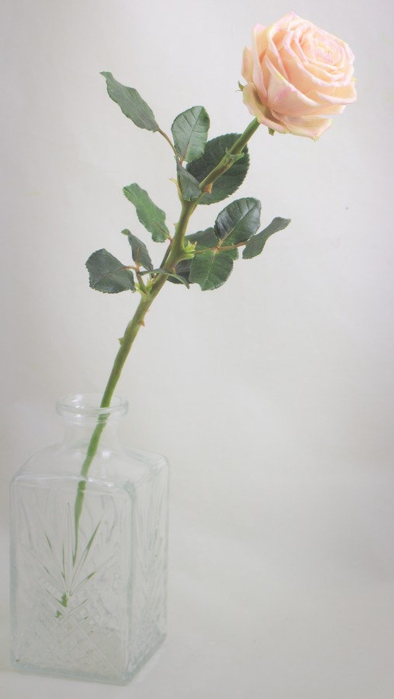 Cold Porcelain Roses. Bouquet of Roses. Rose Bush. Home Decor. - Etsy