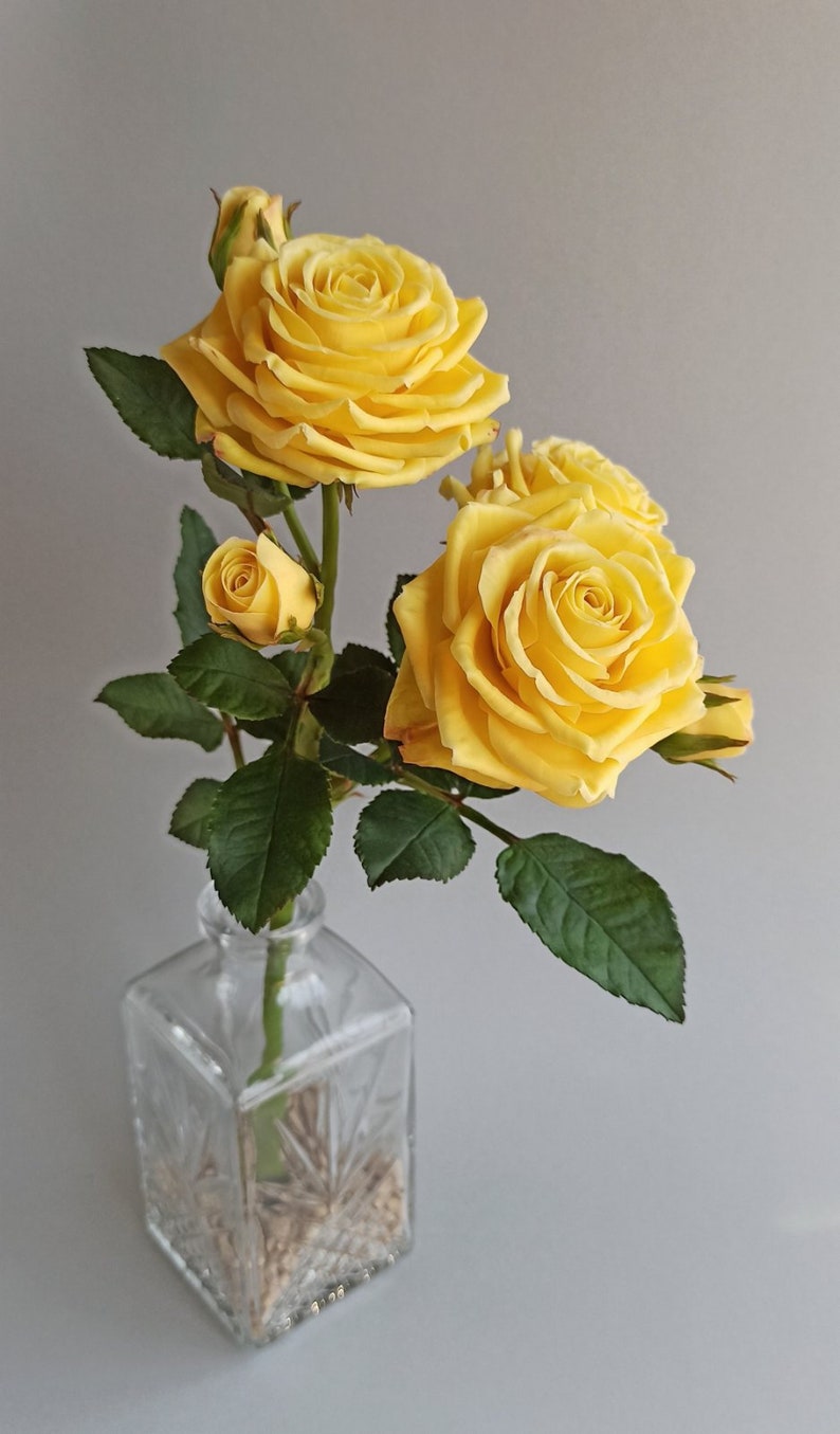 Rose. Rose Branch. Yellow Rose. Rose Made of Polymer Clay. Handmade ...