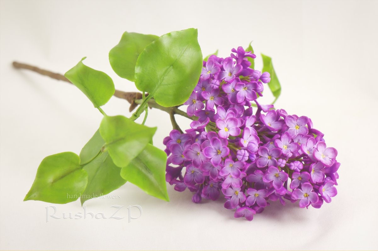 Lilac. Lilac Flower. Clay Lilac Bouquet. Lilac Branch. Polymer Clay ...