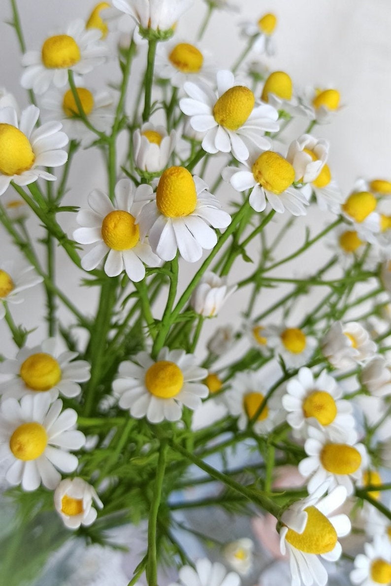 Daisies. Bouquet of Daisies. Wild Flowers. Real Touch Flowers. - Etsy