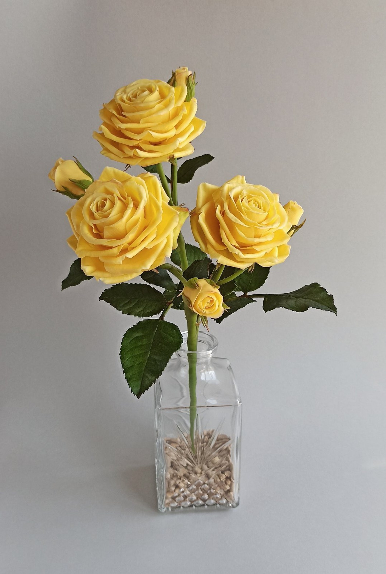 Rose. Rose Branch. Yellow Rose. Rose Made of Polymer Clay. Handmade ...