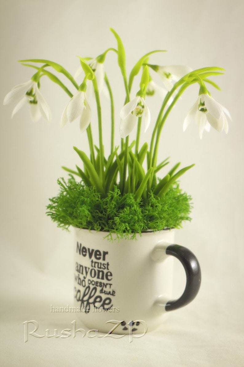 Snowdrop. Bouquet of snowdrops. Spring flowers. Real touch | Etsy