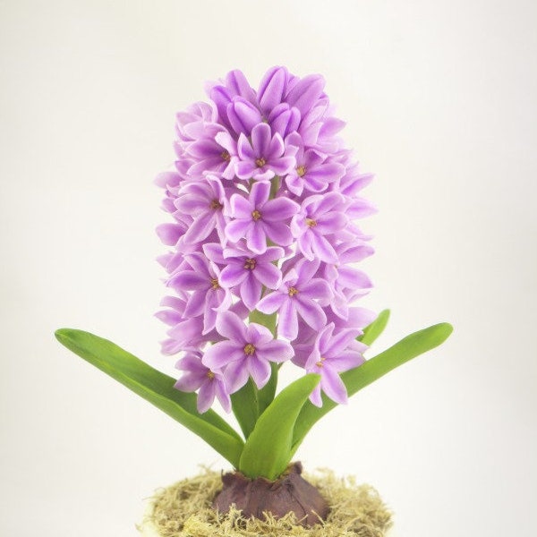 Cold Porcelain Clay - Etsy