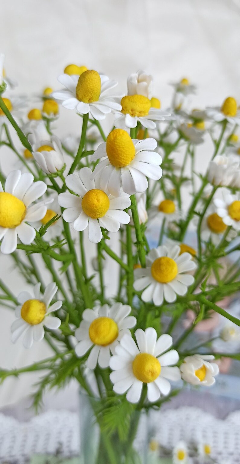 Daisies. Bouquet of Daisies. Wild Flowers. Real Touch Flowers. - Etsy