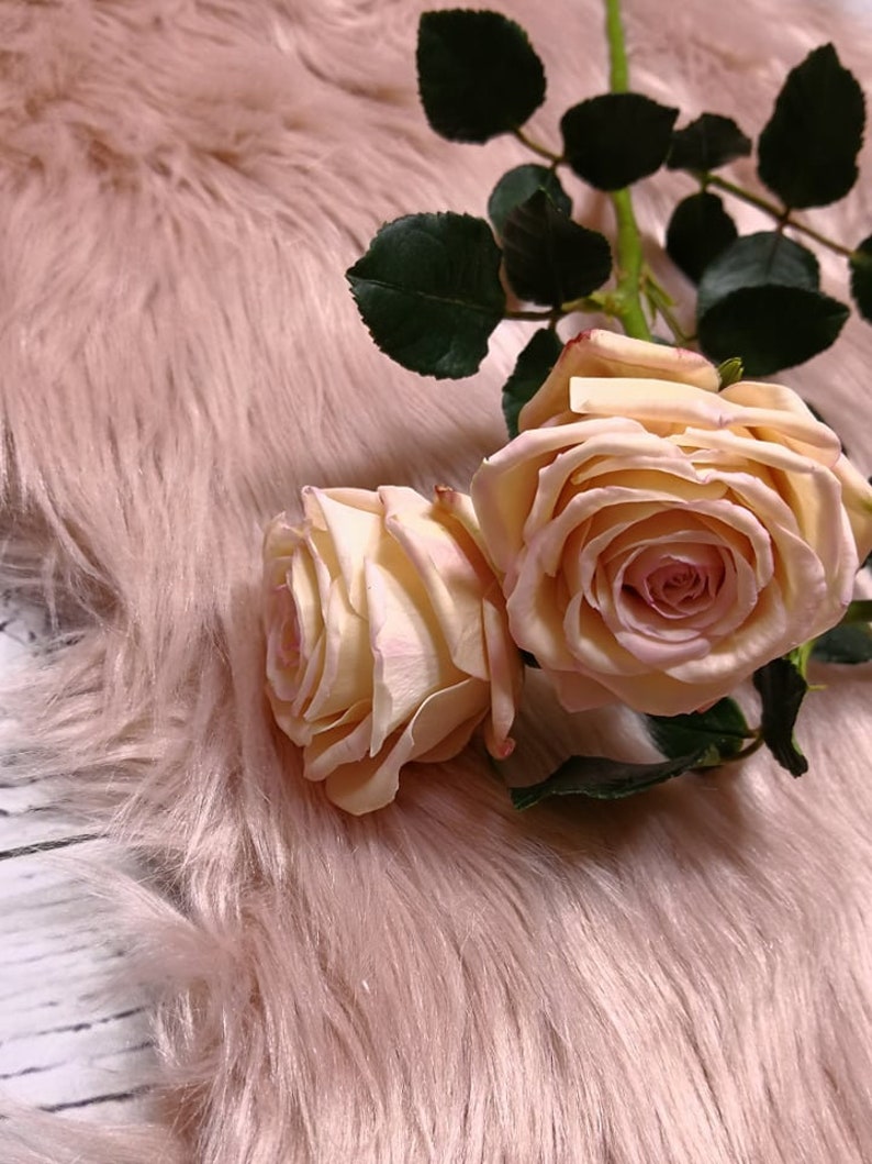 Cold Porcelain Roses. Bouquet of Roses. Rose Bush. Home Decor. - Etsy