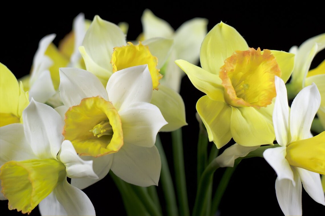 Daffodil. Flower of daffodil to decorate room handmade flower. | Etsy