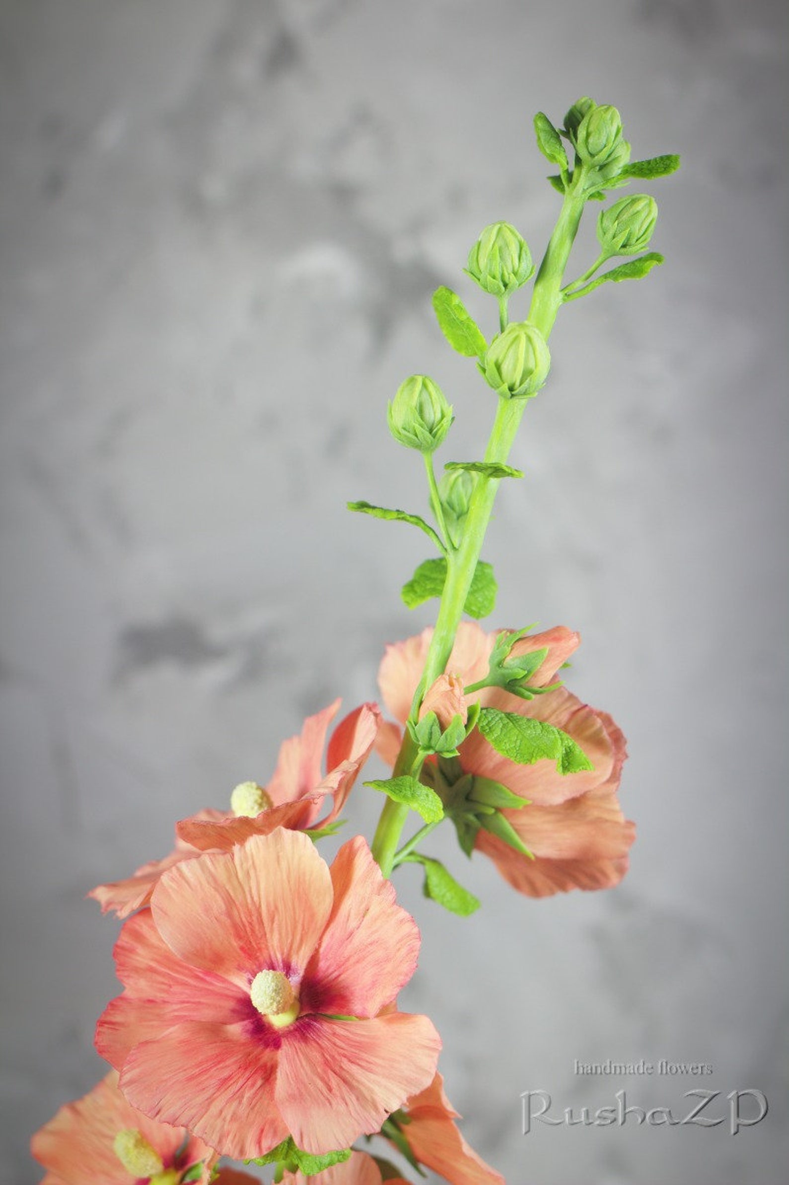 Mallow. Mallow From Polymer Clay. Mallow Flowers. Clay - Etsy