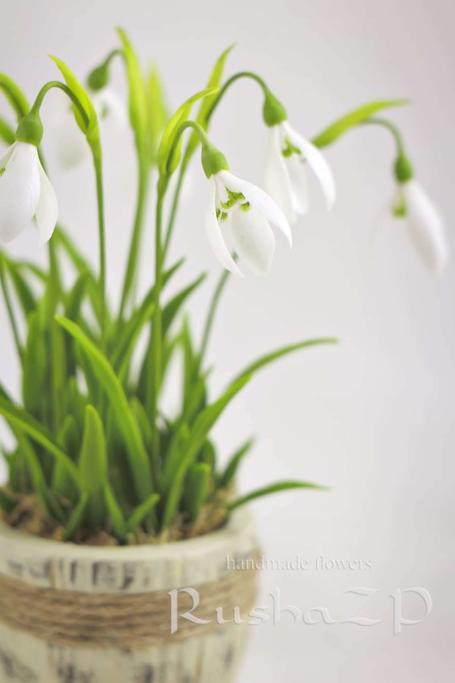 Snowdrop. Bouquet of Snowdrops. Spring Flowers. Real Touch - Etsy Sweden