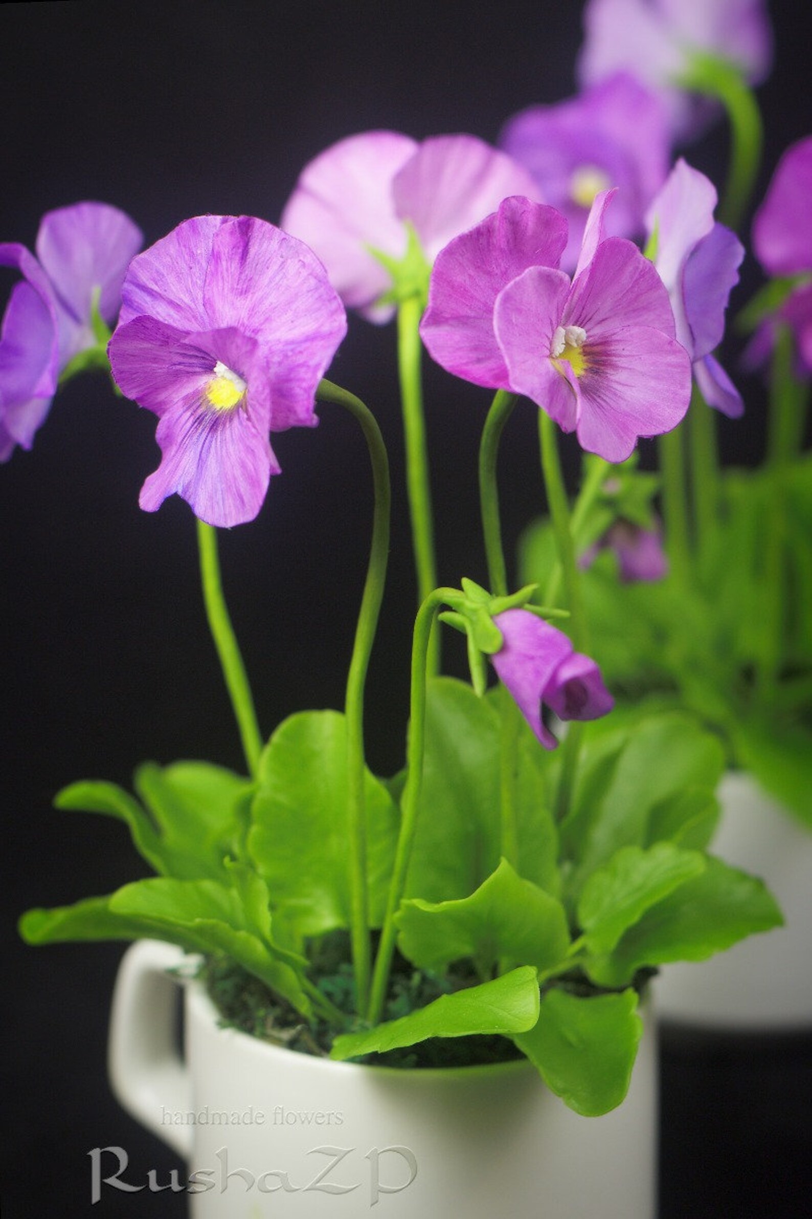 Pansy Flowers. Pansies in a Pot. Viola. Composition of | Etsy