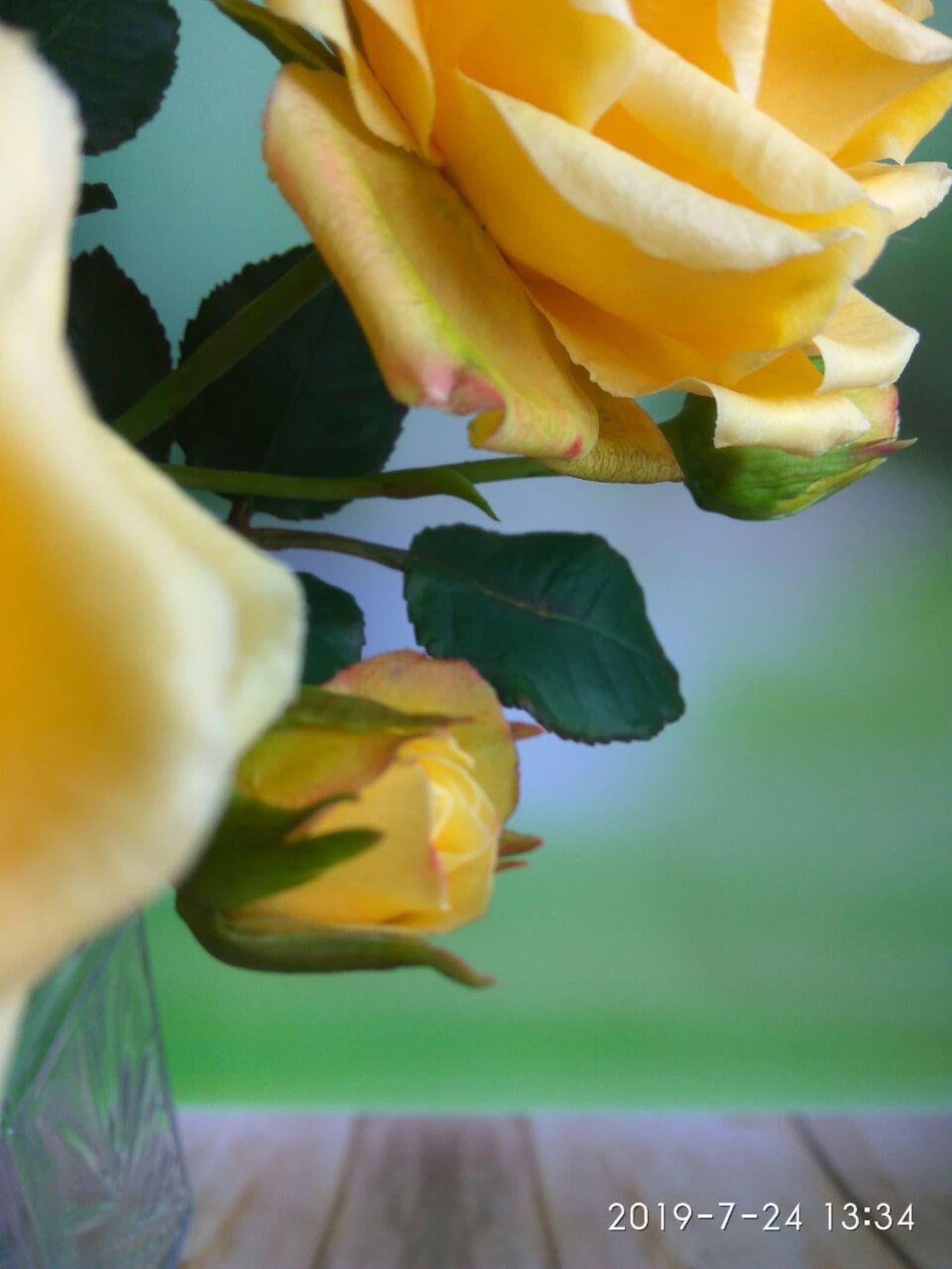 Rose. Rose Branch. Yellow Rose. Rose Made of Polymer Clay. Handmade ...