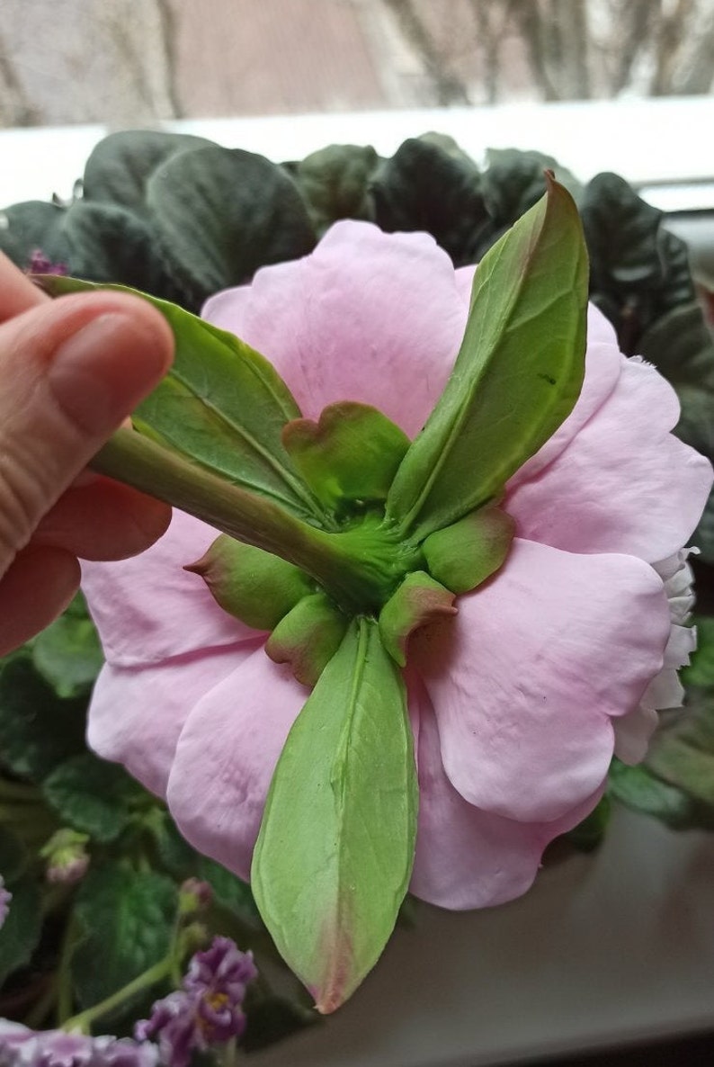 Peony. Peony Branch. Real Touch Flower. Clay Peony. Spring - Etsy