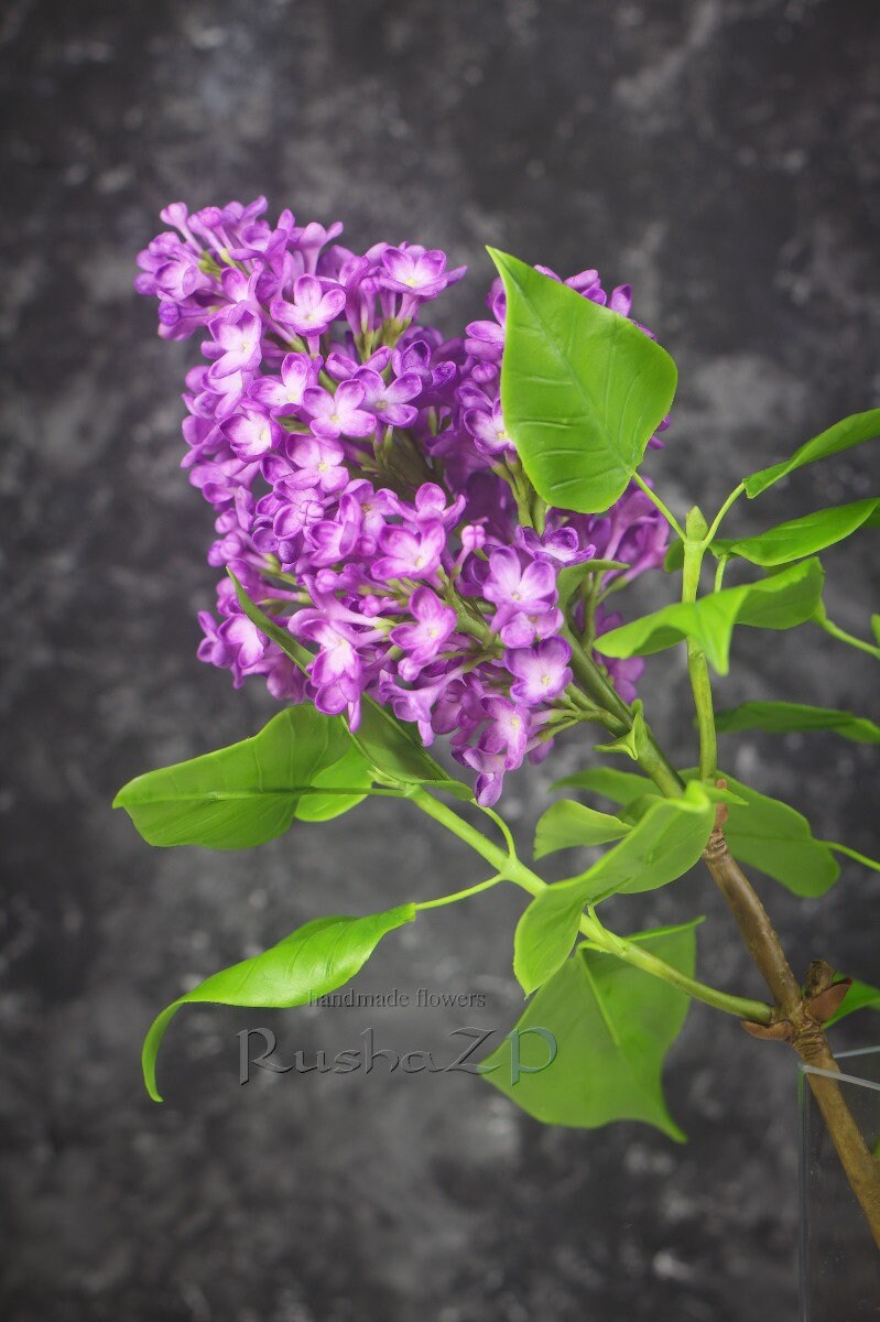 Lilac. Lilac Flower. Clay Lilac Bouquet. Lilac Branch. Polymer Clay ...