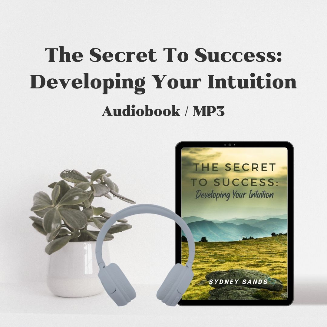 The Secret To Success Audiobook