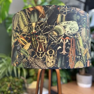 Vintage Bugs Drum Lamp Shade | Beetle Scene Lampshade | by Mustard and ...