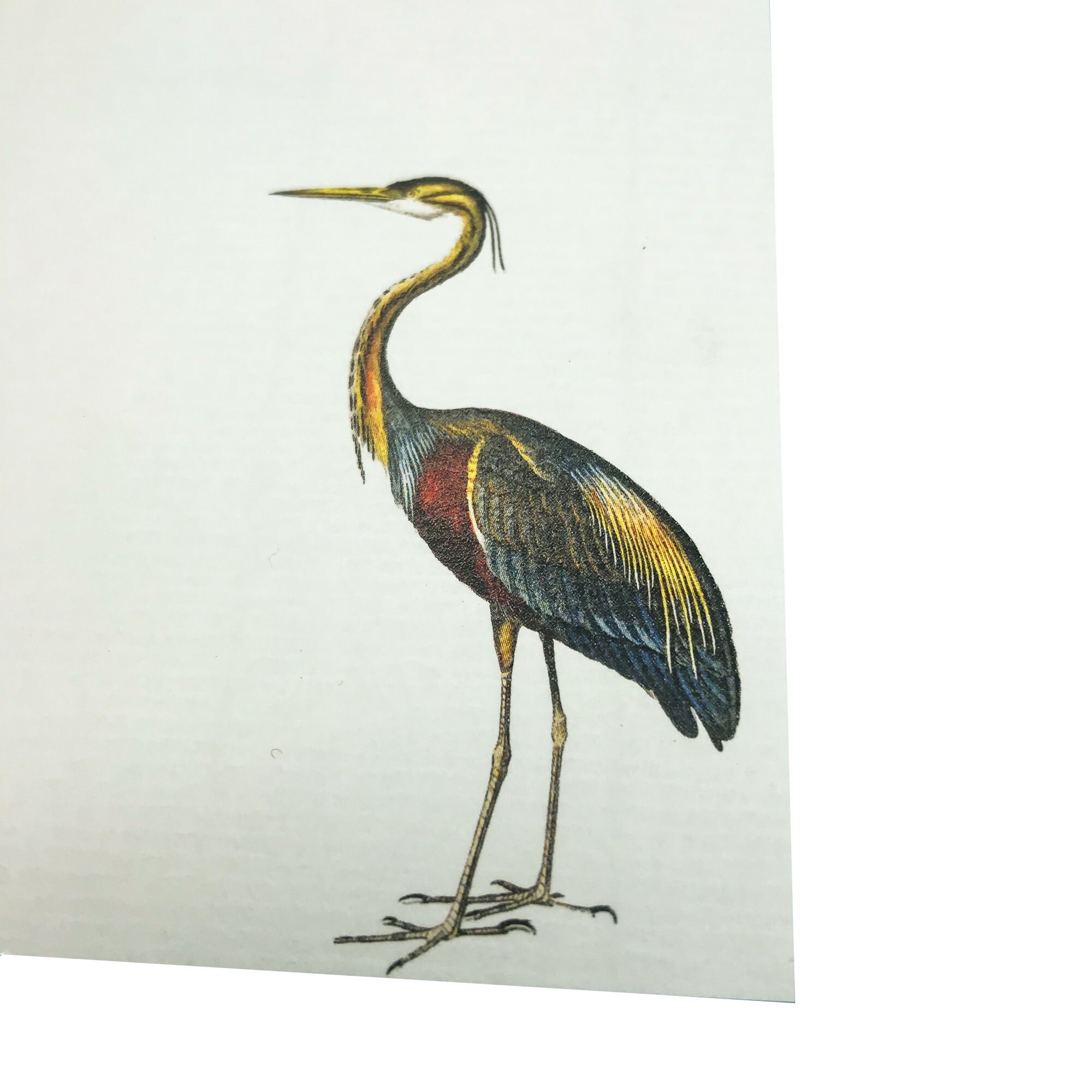 Heron Letter Writing Set Heron Writing Paper Heron | Etsy