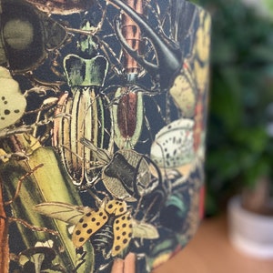 Vintage Bugs Drum Lamp Shade | Beetle Scene Lampshade | by Mustard and ...