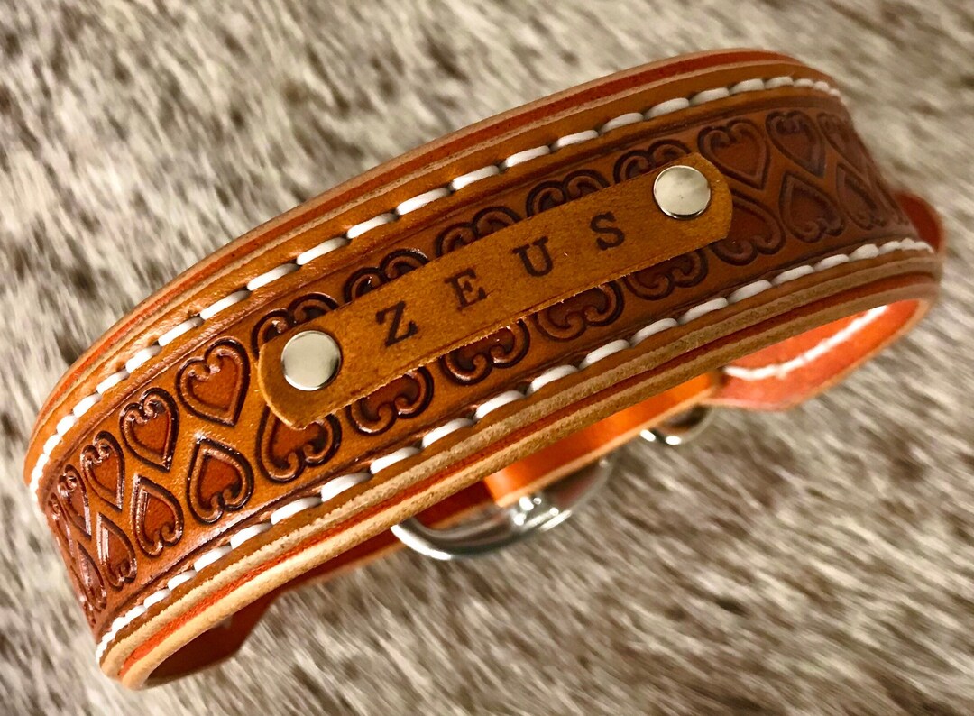 Collier pour animal de compagnie en cuir personnalisé, collier pour ...