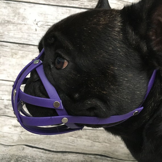 Muzzle French Bulldog Biothane® 6-9kg Longer Muzzle