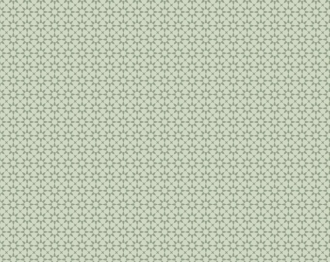 Gingham Fields, Starbursts in Pistachio, by My Mind's Eye for Riley ...