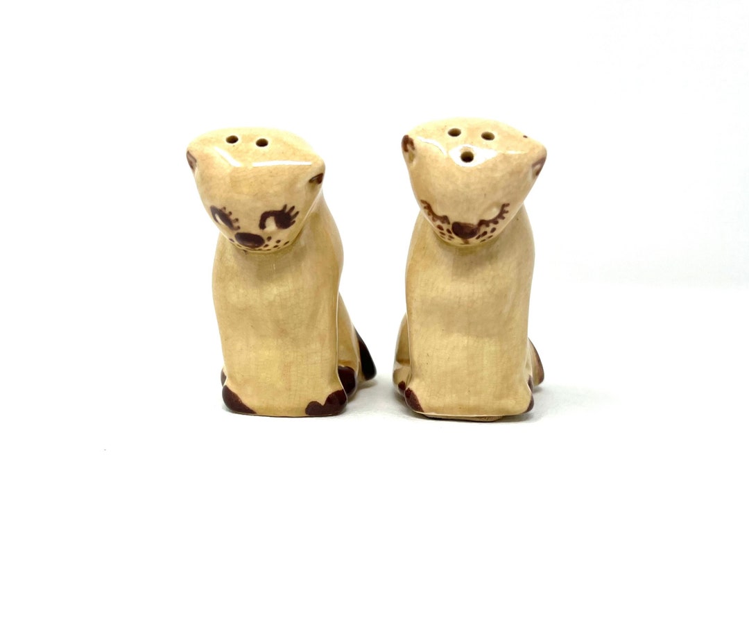 Vintage Rio Hondo Cat/lion Salt and Pepper Shaker Set - Etsy