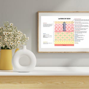 Layers of Skin Chart Epidermis and Dermis Esthetician Wall Art Skin ...