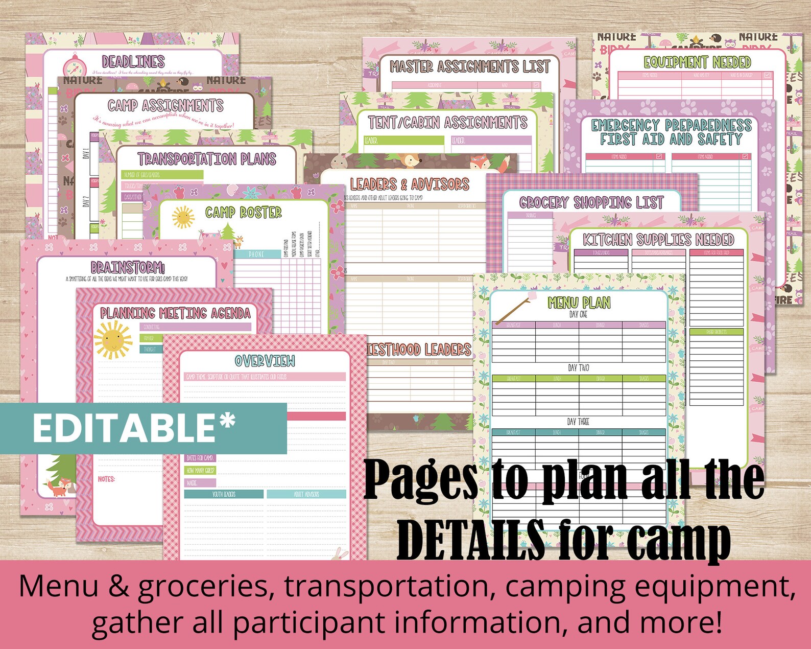 Girl's Camp Planner - LDS Young Women - Camp Director Planner - Youth ...