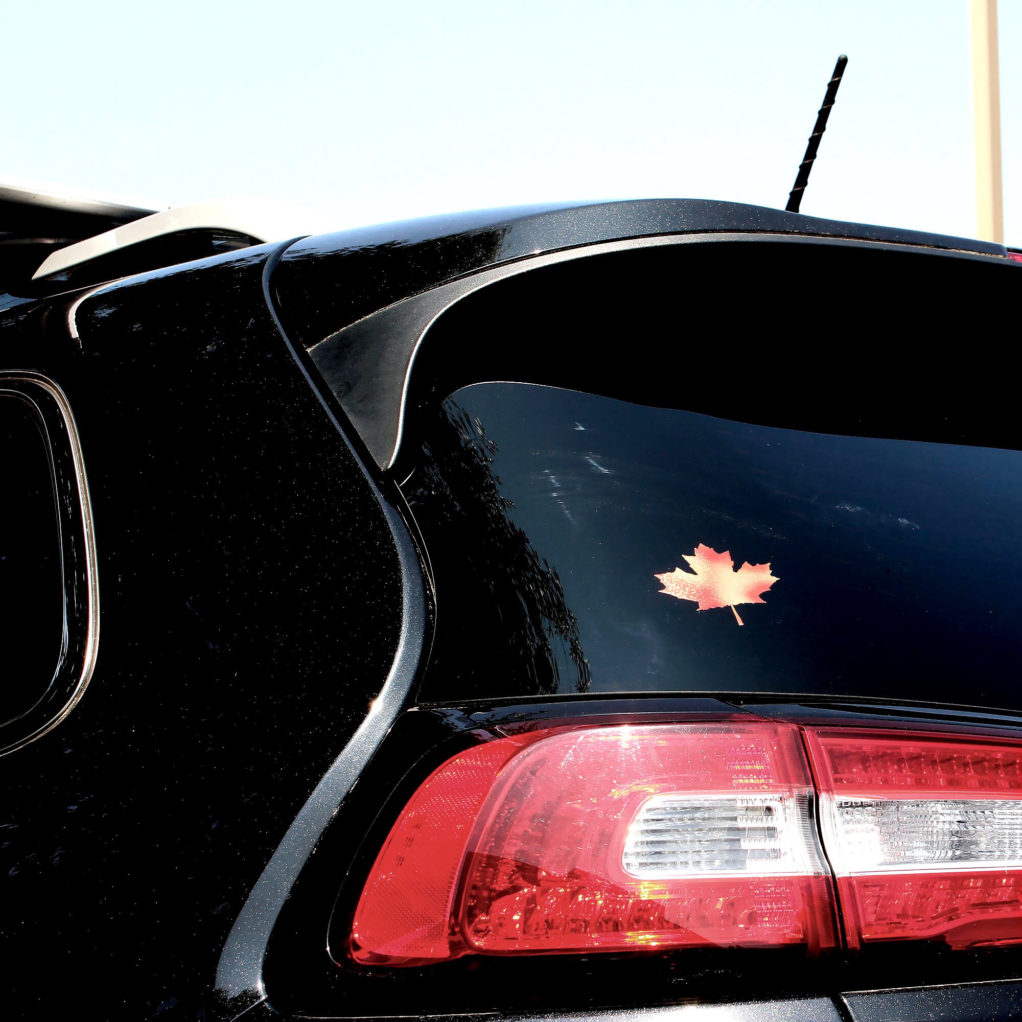 Maple Leaf Print Metal Decal Sticker for Indoor or Outdoor Use on ...