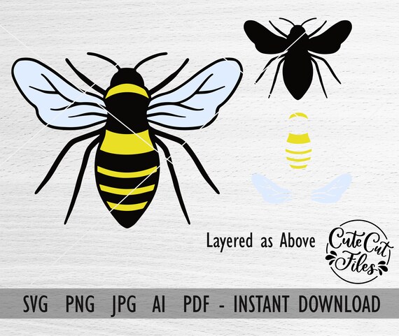 Bee SVG PNG AI Bee Color Cut File Bee Clipart Bee Cut | Etsy