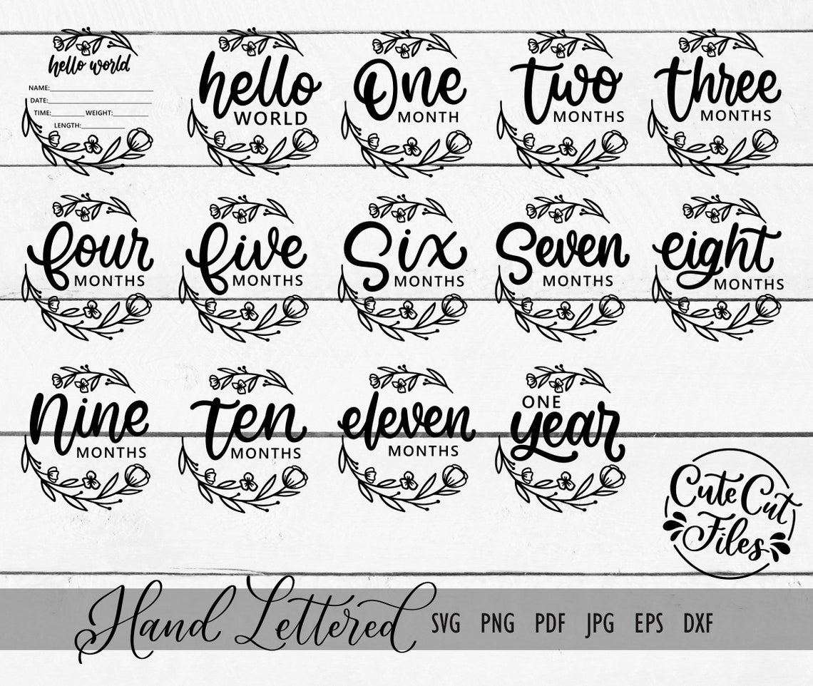 Round Baby Milestone SVG PNG DXF | Baby Milestone Cut Files | Monthly ...