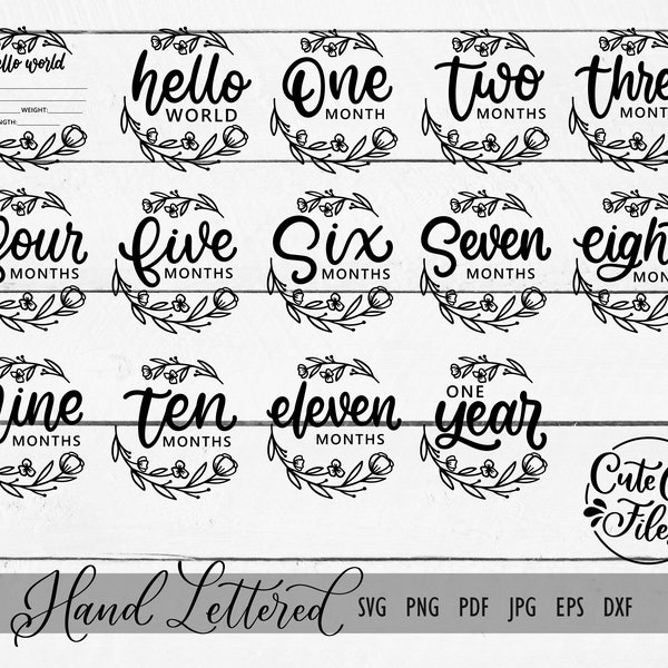 Milestone Svg - Etsy