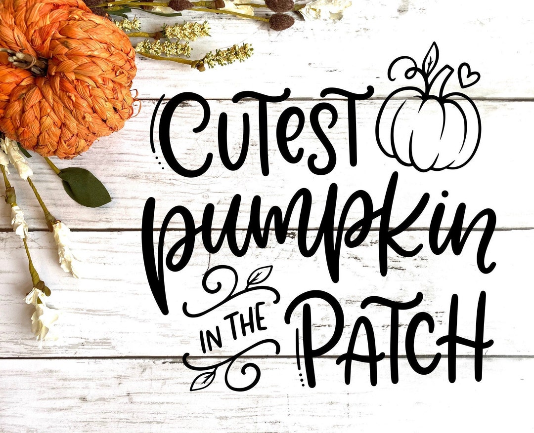 Cutest Pumpkin in the Patch SVG | Fall Thanksgiving Design (digital ...
