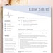 CV Google Docs, RN Resume Template, Nursing Student Resume Template ...