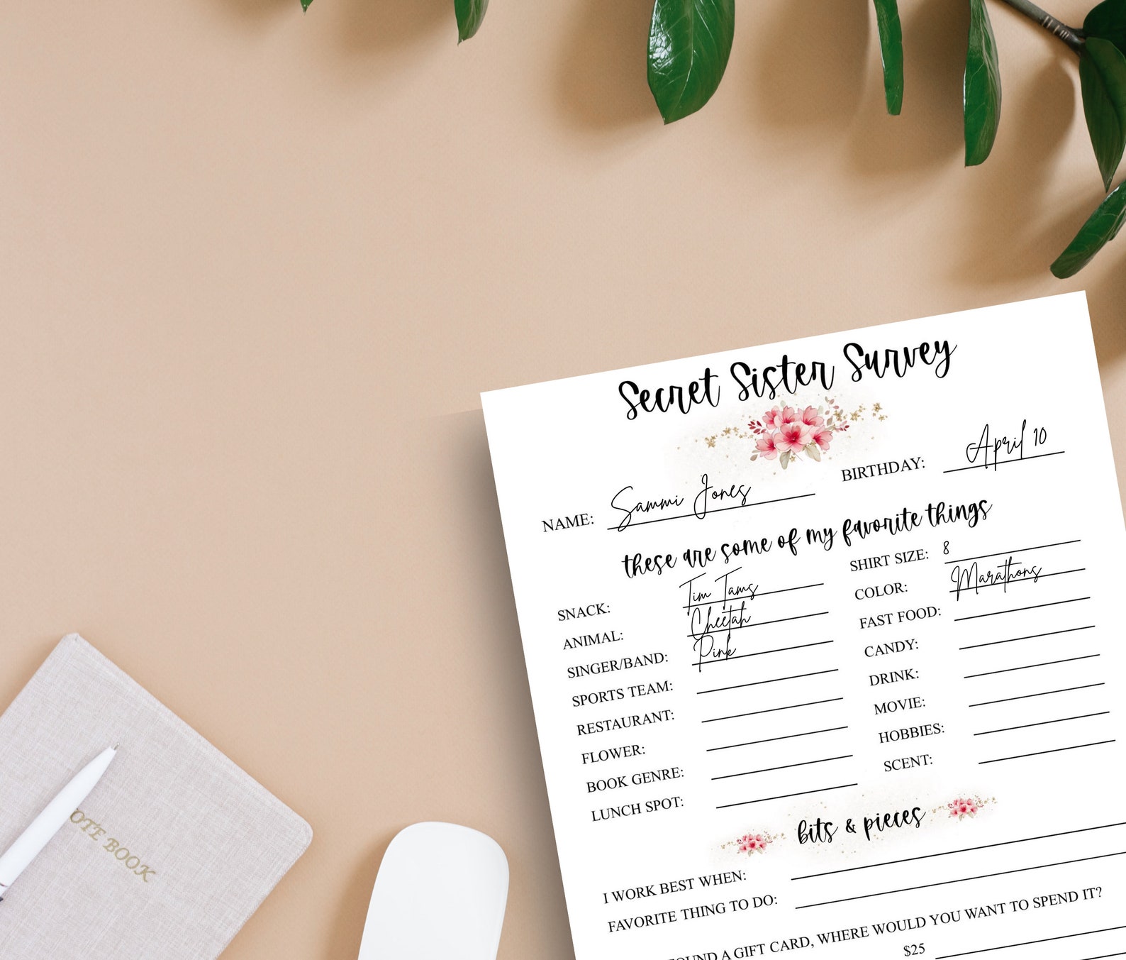 Secret Sister Questionnaire Get to Know You Template Secret - Etsy