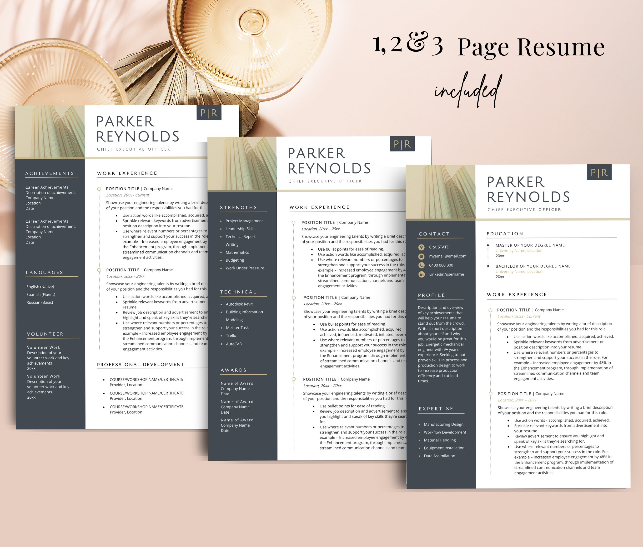 C-level Resume Template, Apple Pages Resume, Director Resume Template ...