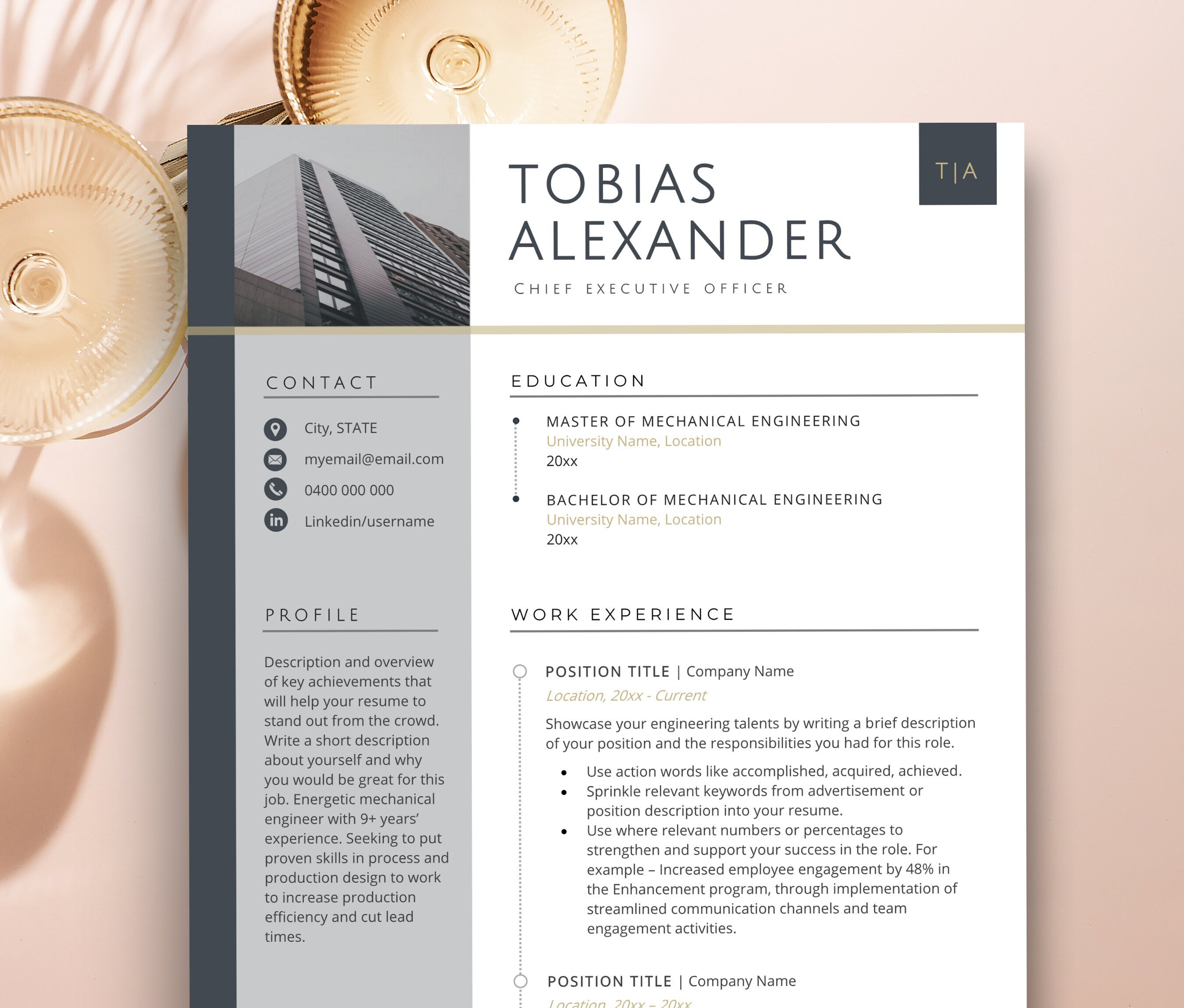Executive CV Template Professional Resume Template for Pages - Etsy