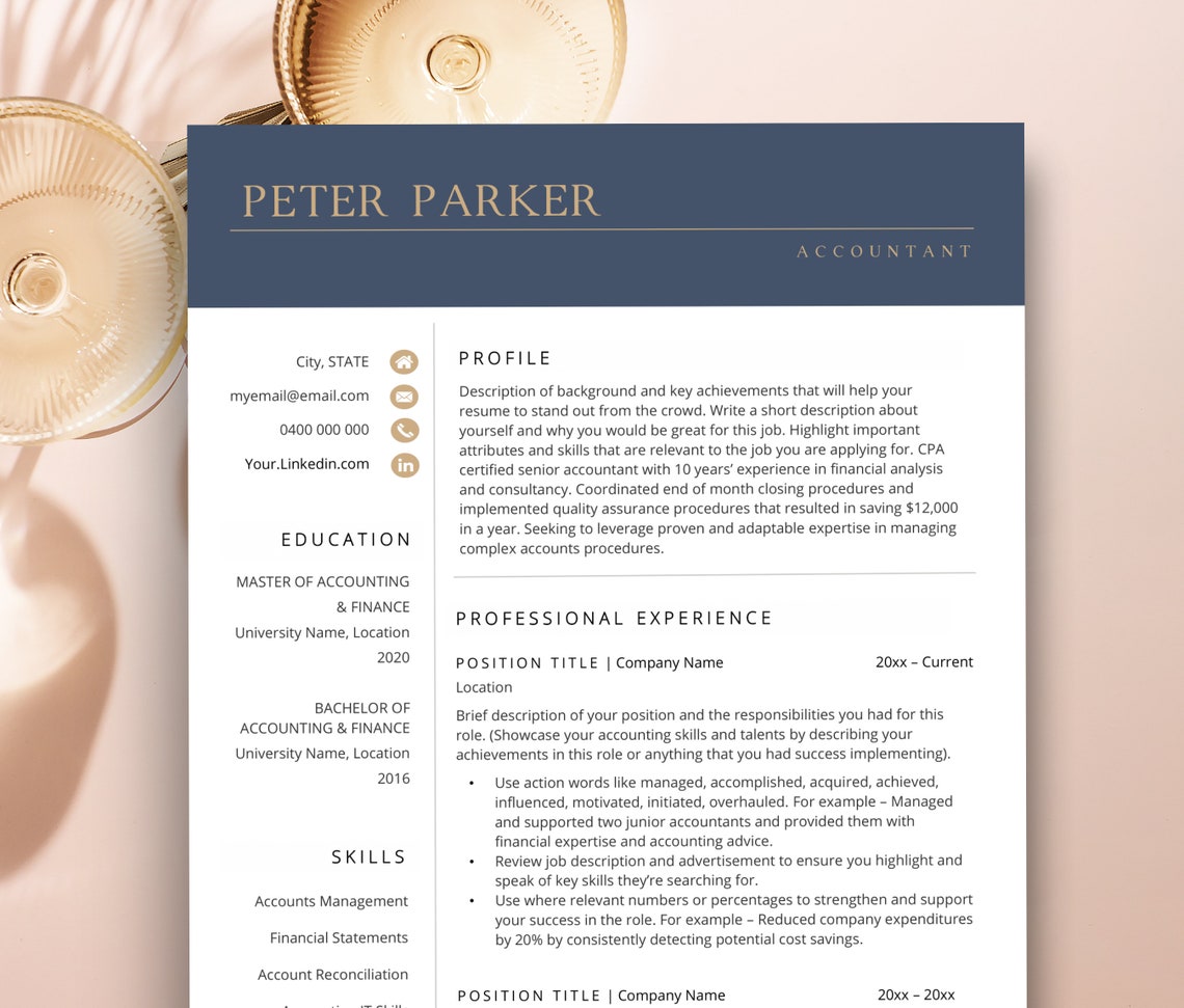 Professional Resume Template for Word, Accountant Resume, Accounting CV ...