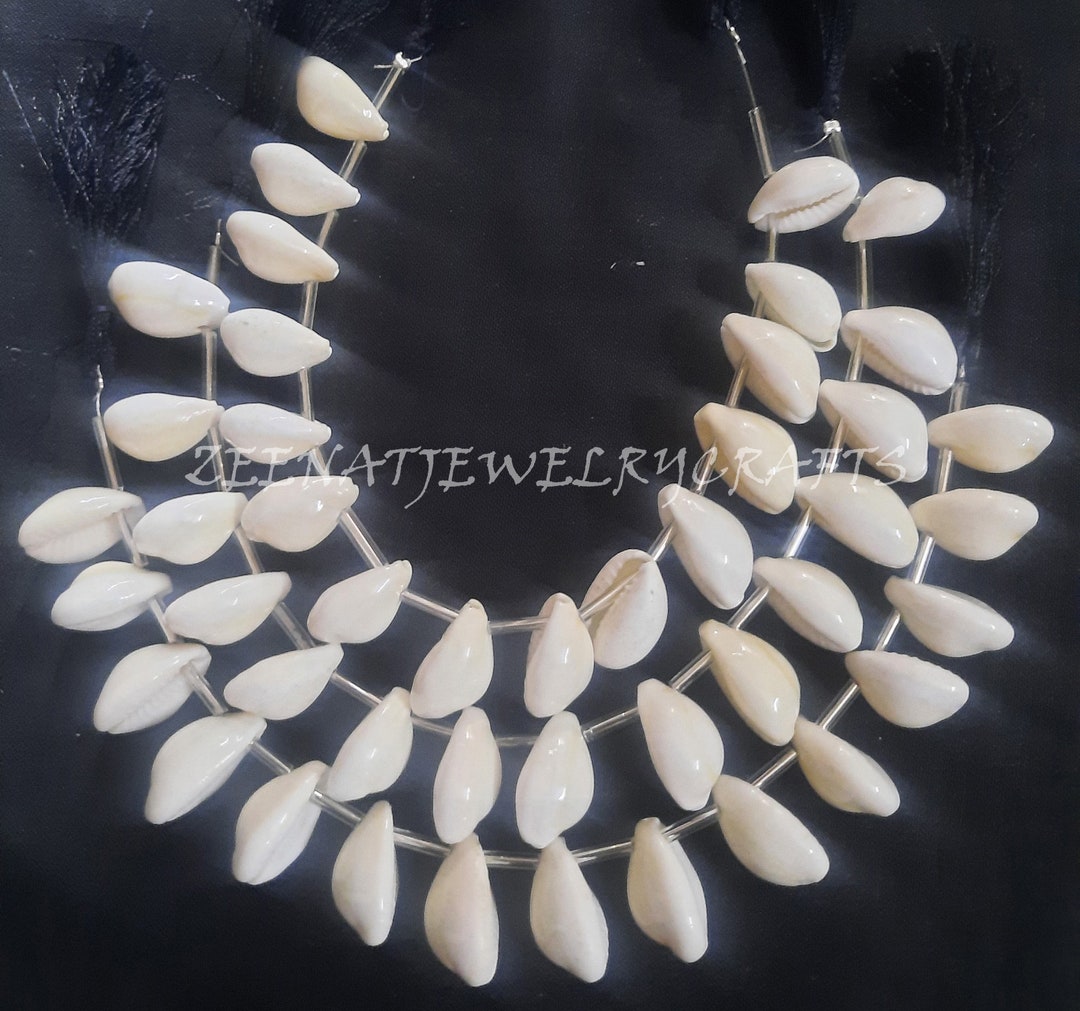 8" White Yellow Cowrie Shell for Beach Jewelry, Sea Shell, Bulk Shells ...