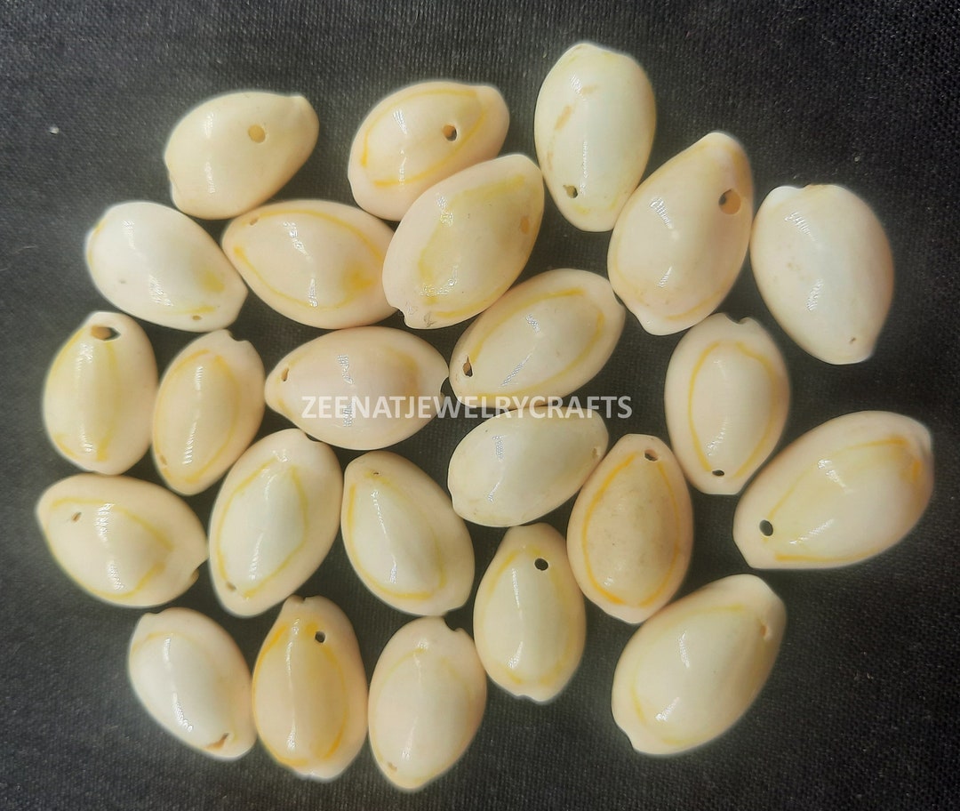 Cowrie Shells - Sliced Puka Shells, Cowrie Shells, White Yellow Kodi ...