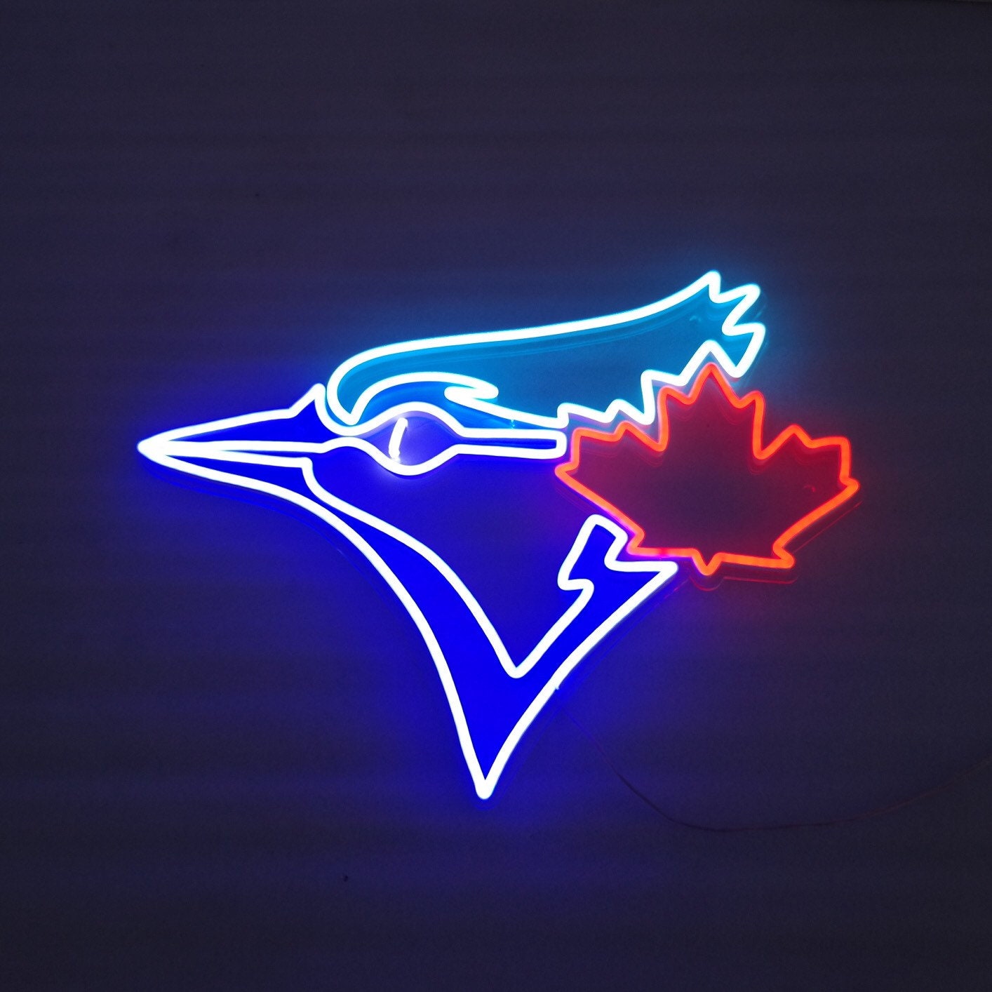 Neon Signs Toronto Custom at Eileen Perry blog