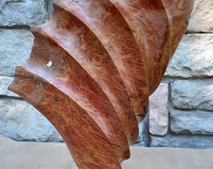 Hand Carved Burl Wood Sculpture in Australian Burl Wood - Etsy